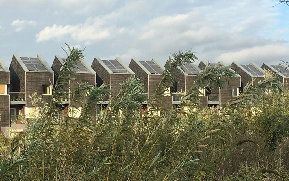 BiUrbs: Valuing biodiversity in urban areas and new developments | The ...